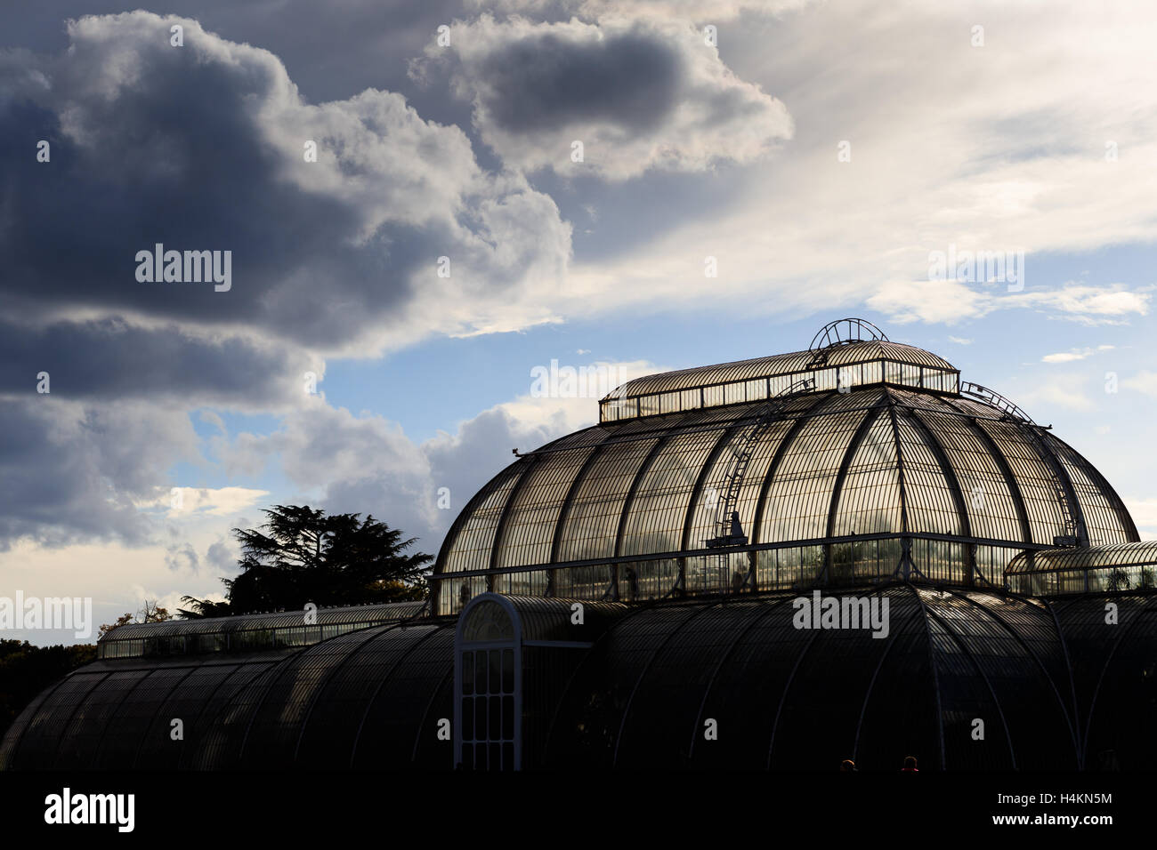 Palm House at The Royal Botanic Gardens, Kew, London Stock Photo - Alamy