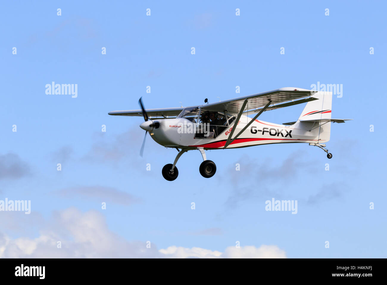 Eurofox hi-res stock photography and images - Alamy