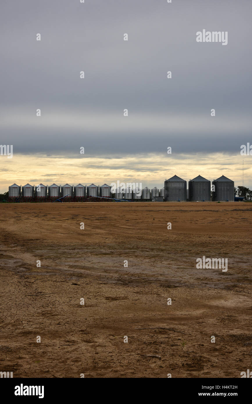 row of grain silos in the distance at Cryon, nsw, australia with dry ...