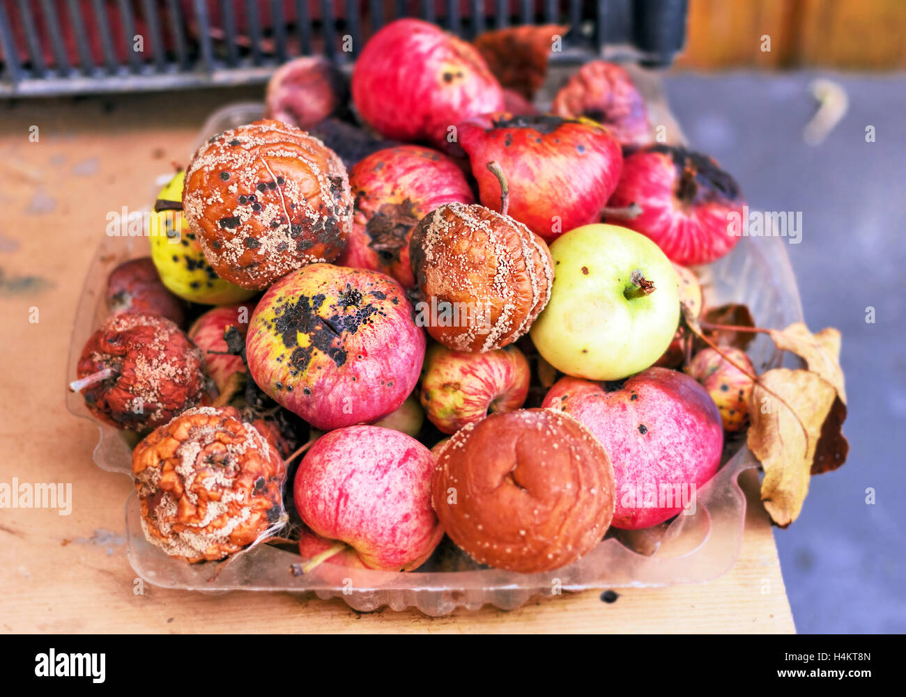 Rotten Apples High Resolution Stock Photography and Images - Alamy