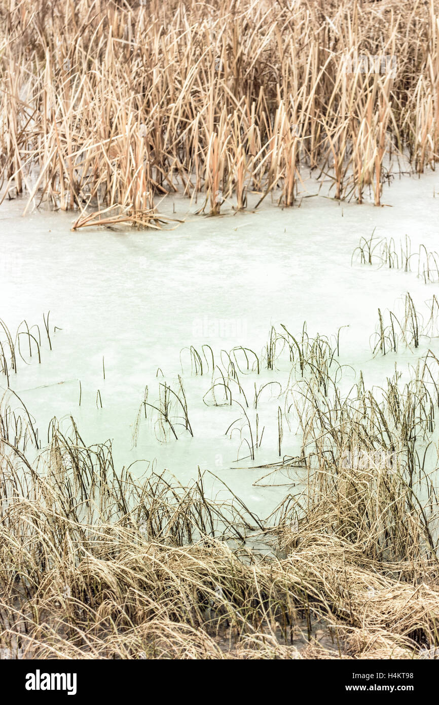 Nice ice hi-res stock photography and images - Alamy