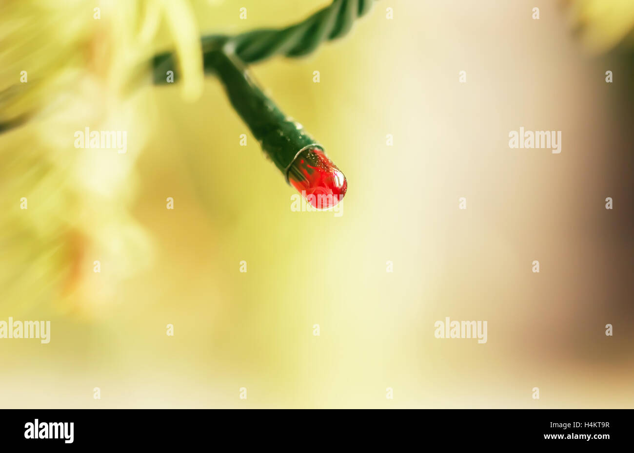 One pretty red small light bulb from garland Stock Photo - Alamy