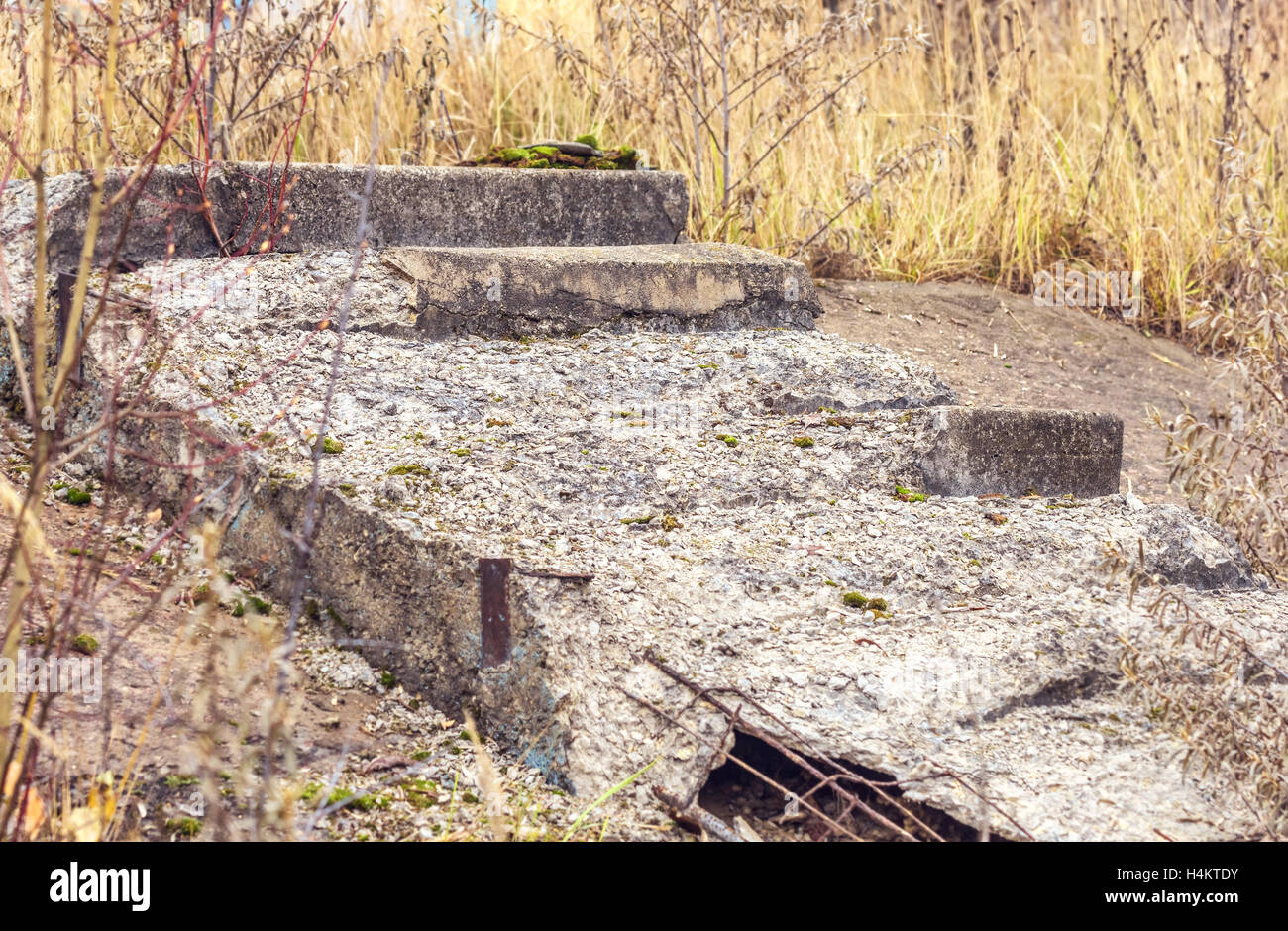 Gray ruined staircase in hi-res stock photography and images - Alamy