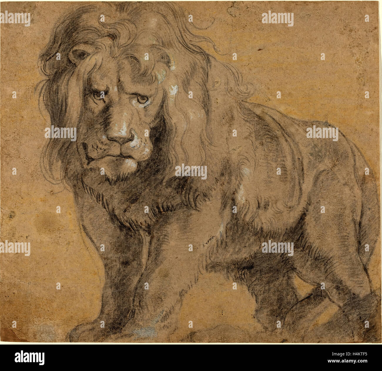 Flemish lion hi-res stock photography and images - Alamy