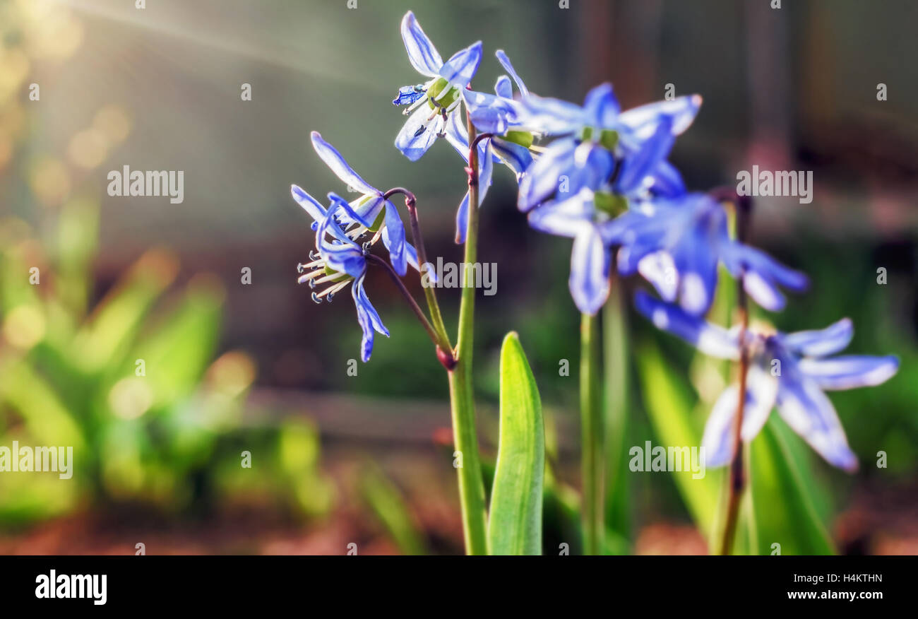 Blue nice hi-res stock photography and images - Alamy