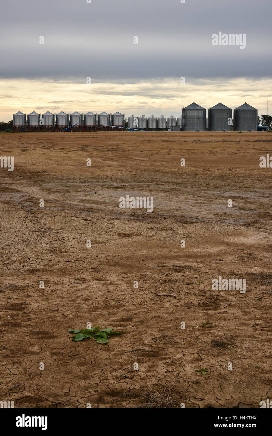 row of grain silos in the distance at Cryon, nsw, australia with dry ...