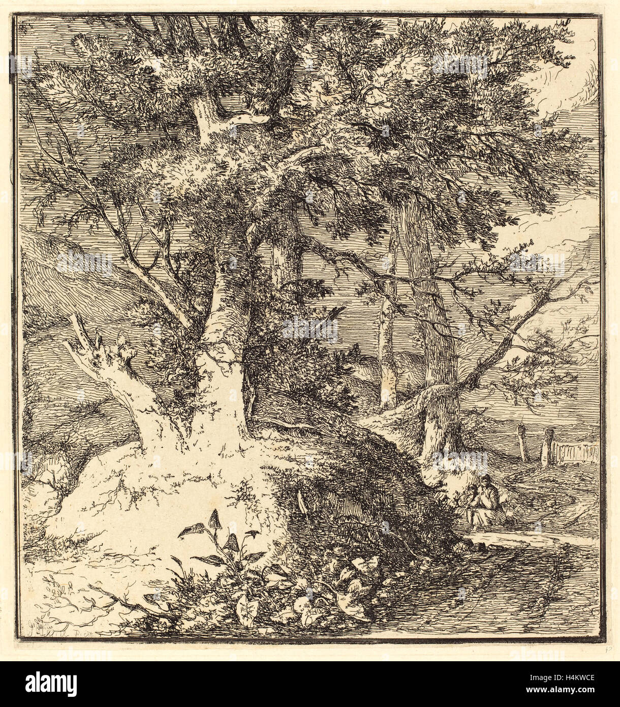 John Crome, British (1768-1821), Tree on a Mound, etching on chine ...