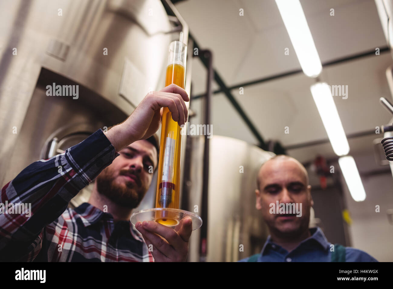 Manufacturer examining beer in tube at brewery Stock Photo - Alamy