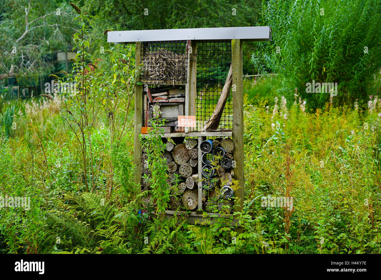 Insect house structure hi-res stock photography and images - Alamy