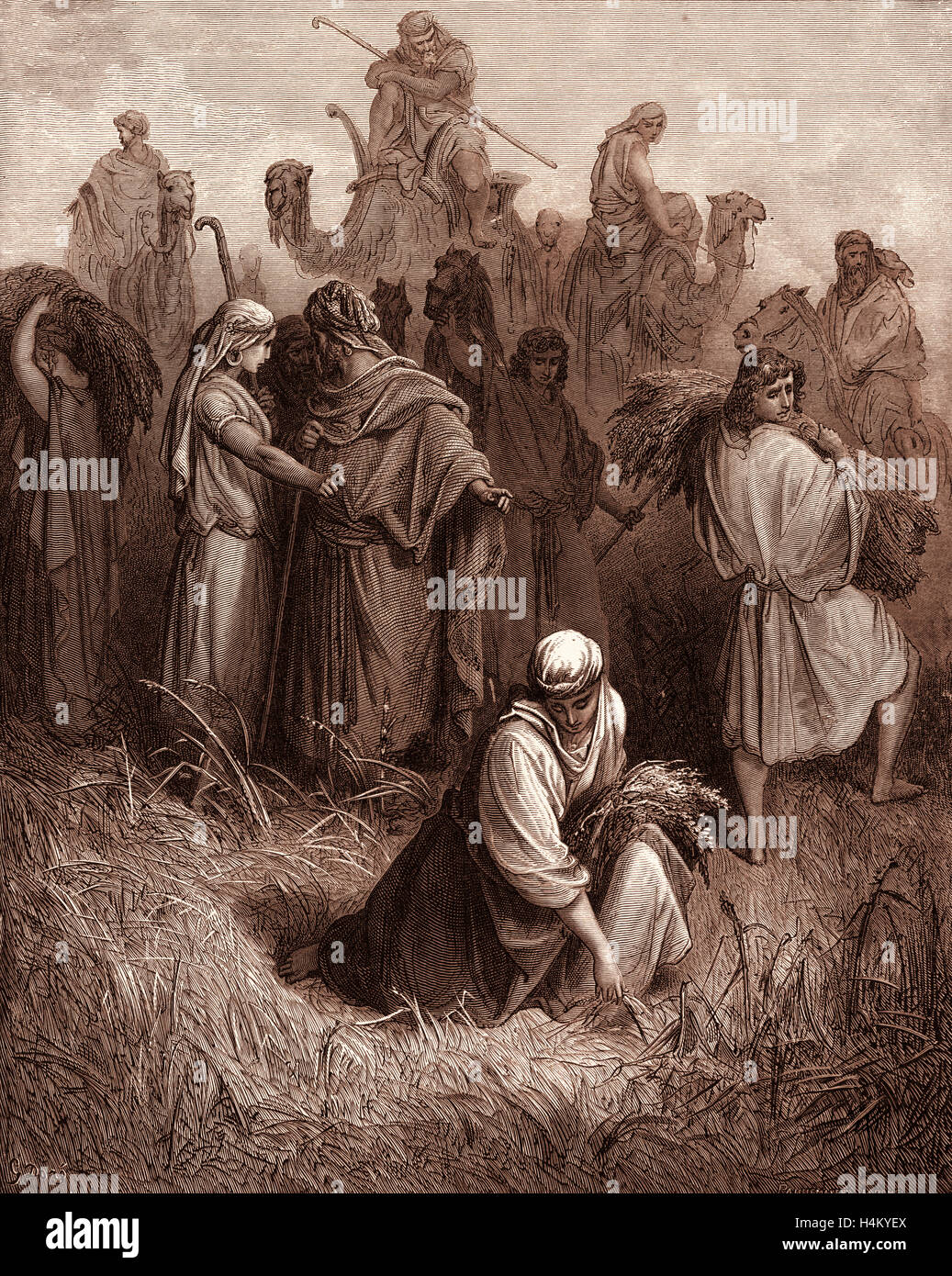 Ruth and boaz, gustave doré hi-res stock photography and images - Alamy