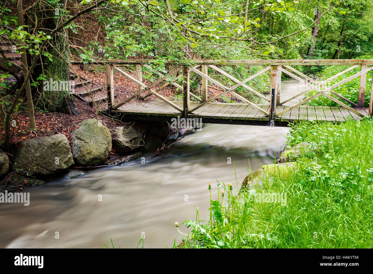 Small Walking Bridge