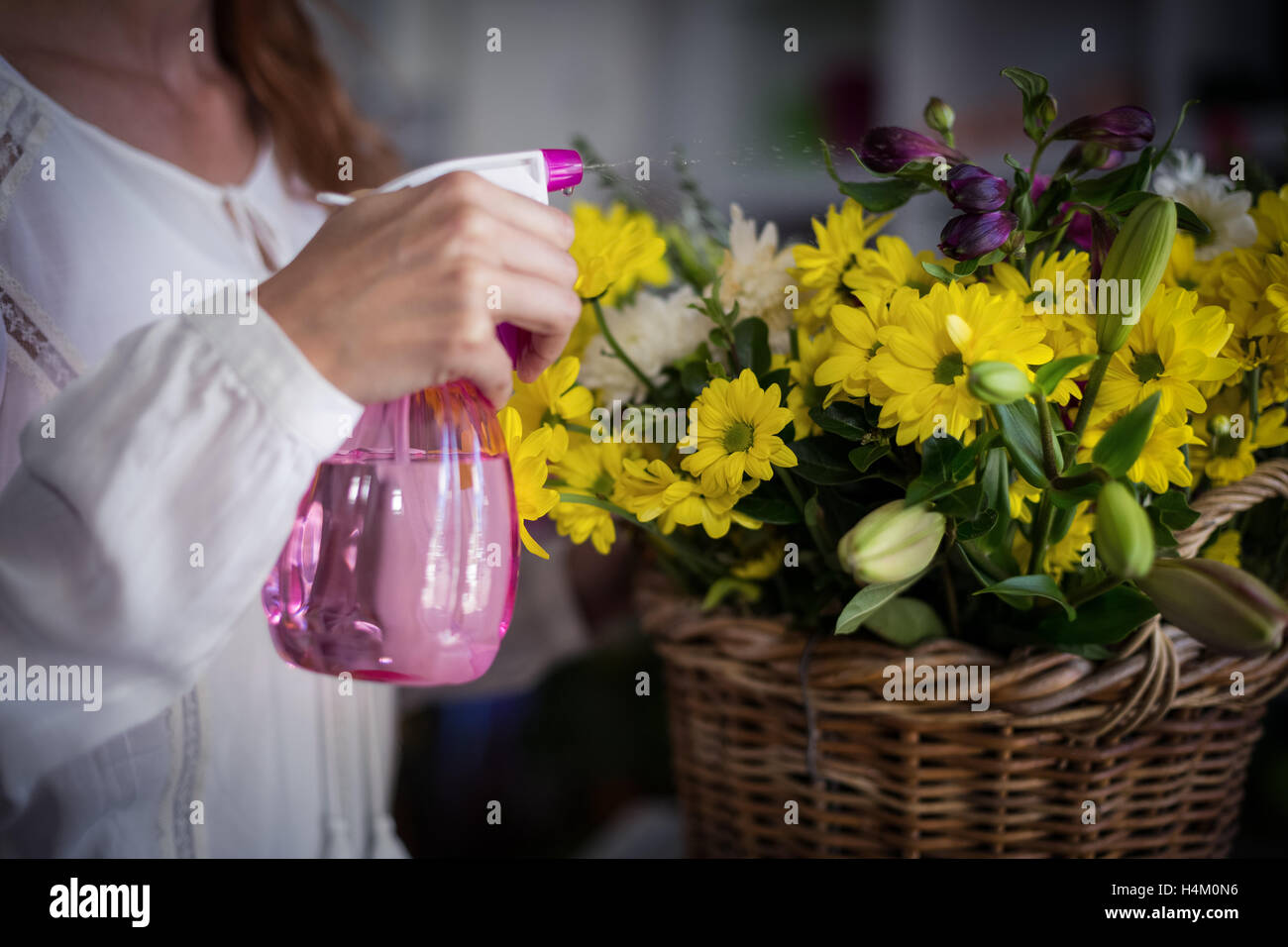 Female florist spraying water on flowers Stock Photo - Alamy