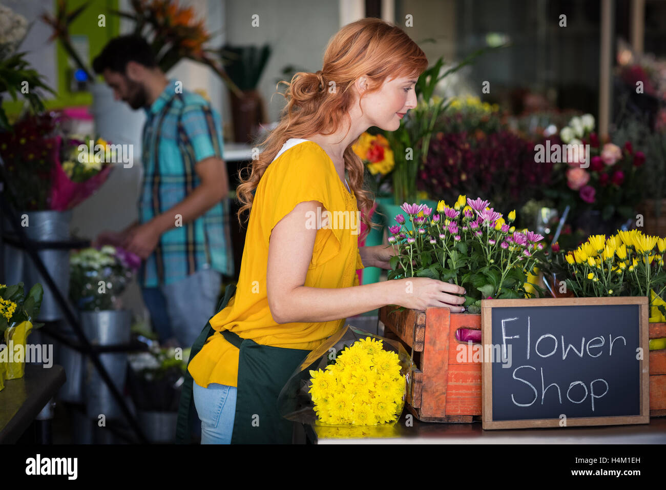Male and female flower hi-res stock photography and images - Alamy