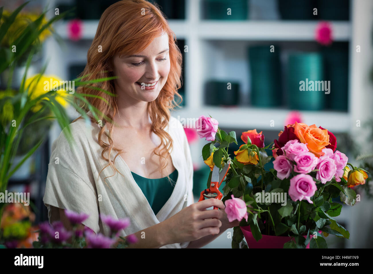 Female flower plant rose hi-res stock photography and images - Alamy