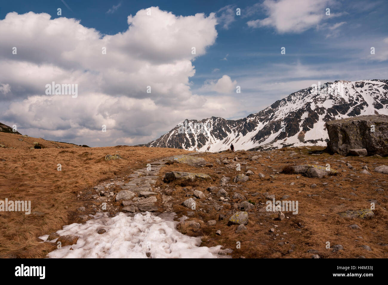 Panorama mountain spring landscape Stock Photo - Alamy