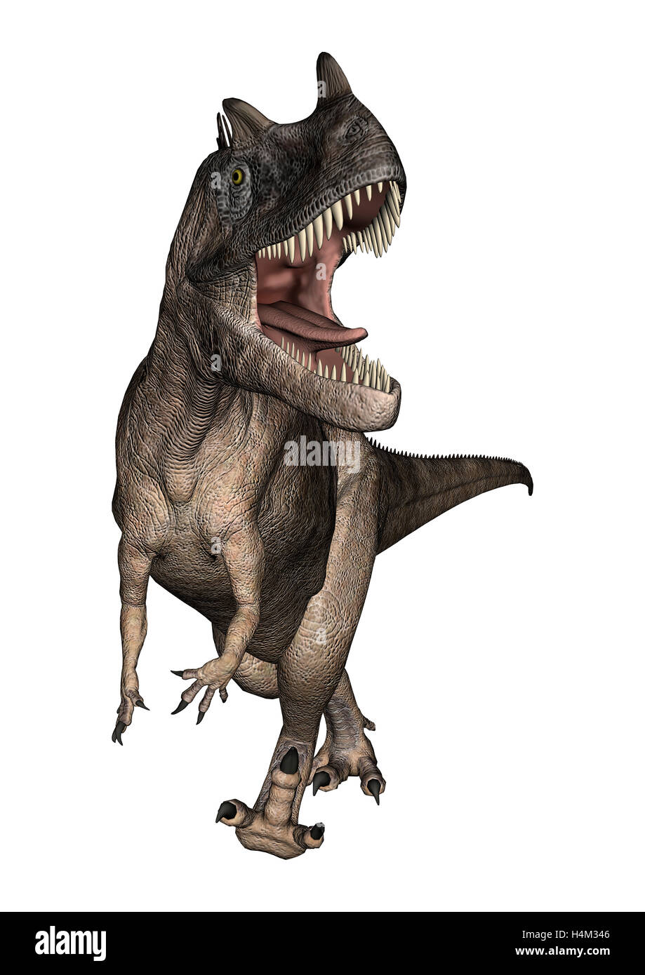 3D rendering of a dinosaur Ceratosaurus isolated on white background ...