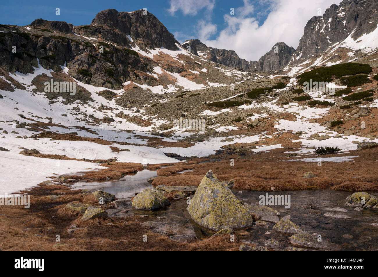 Panorama mountain spring landscape Stock Photo - Alamy