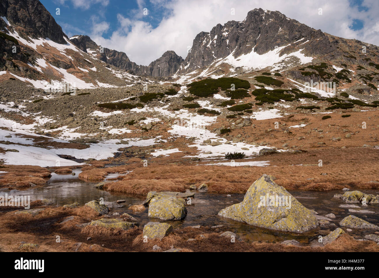 Panorama mountain spring landscape Stock Photo - Alamy