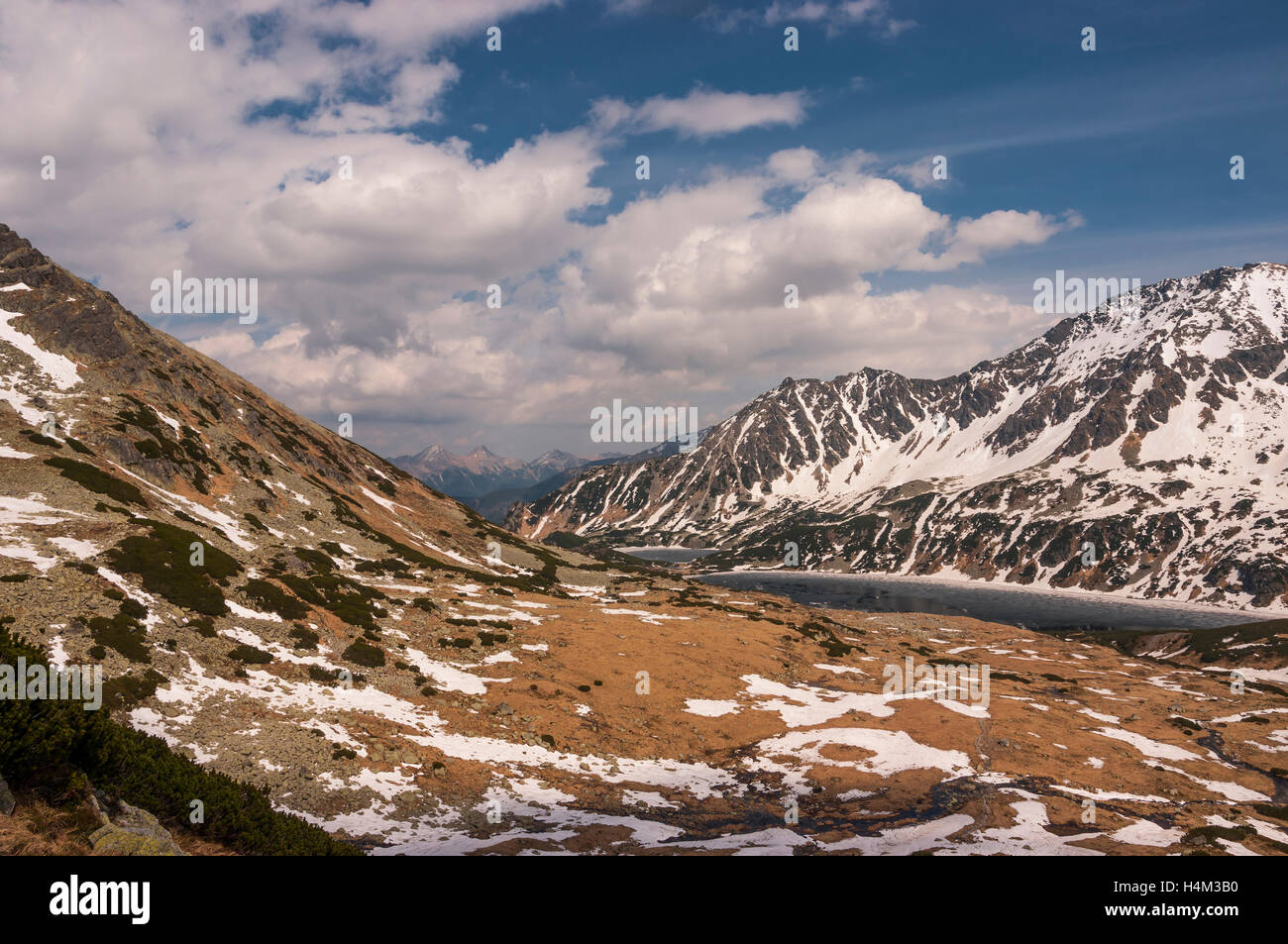 Panorama mountain spring landscape Stock Photo - Alamy