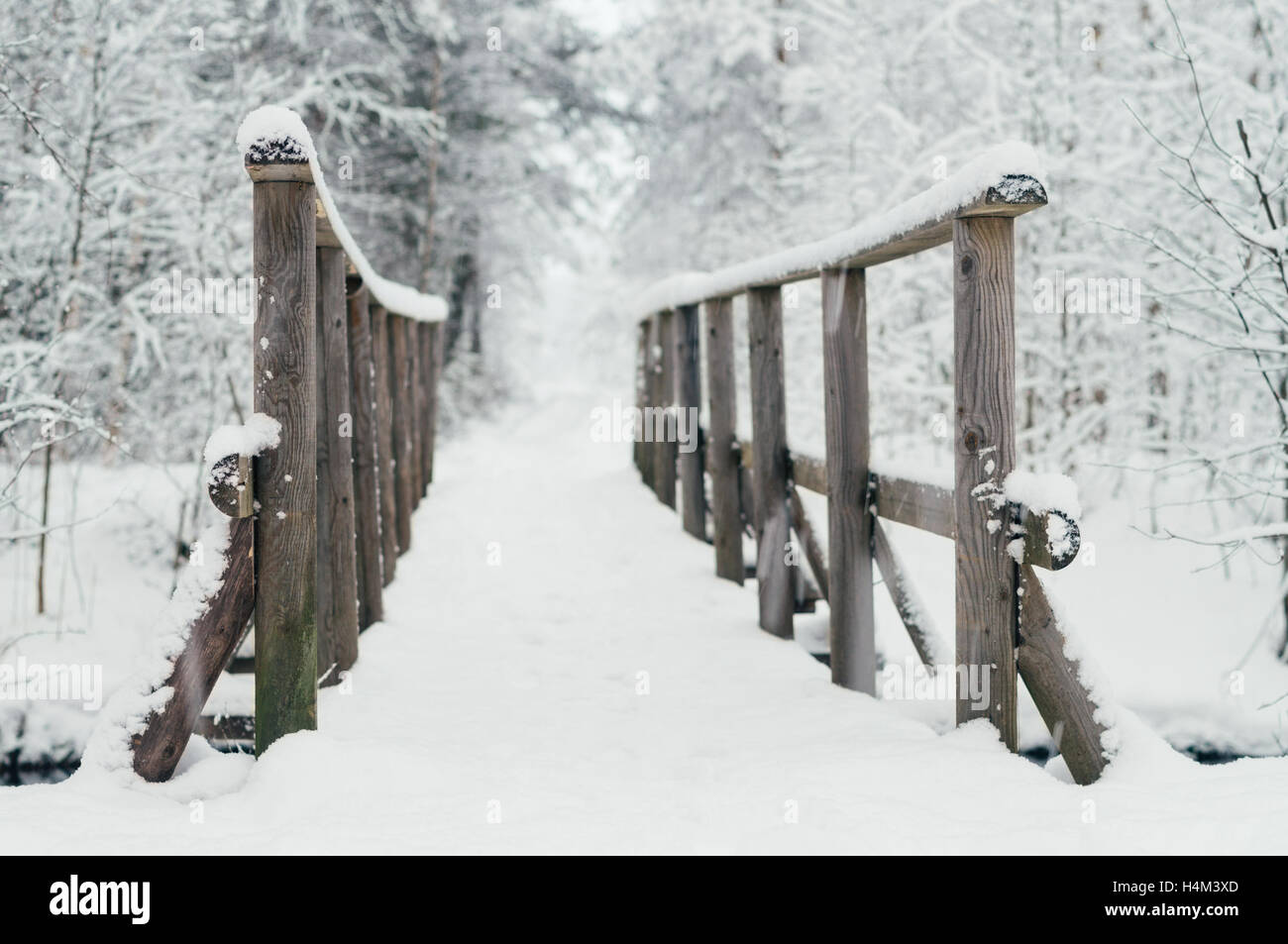 Wooden bridge covered by snow in wintery forest Stock Photo - Alamy