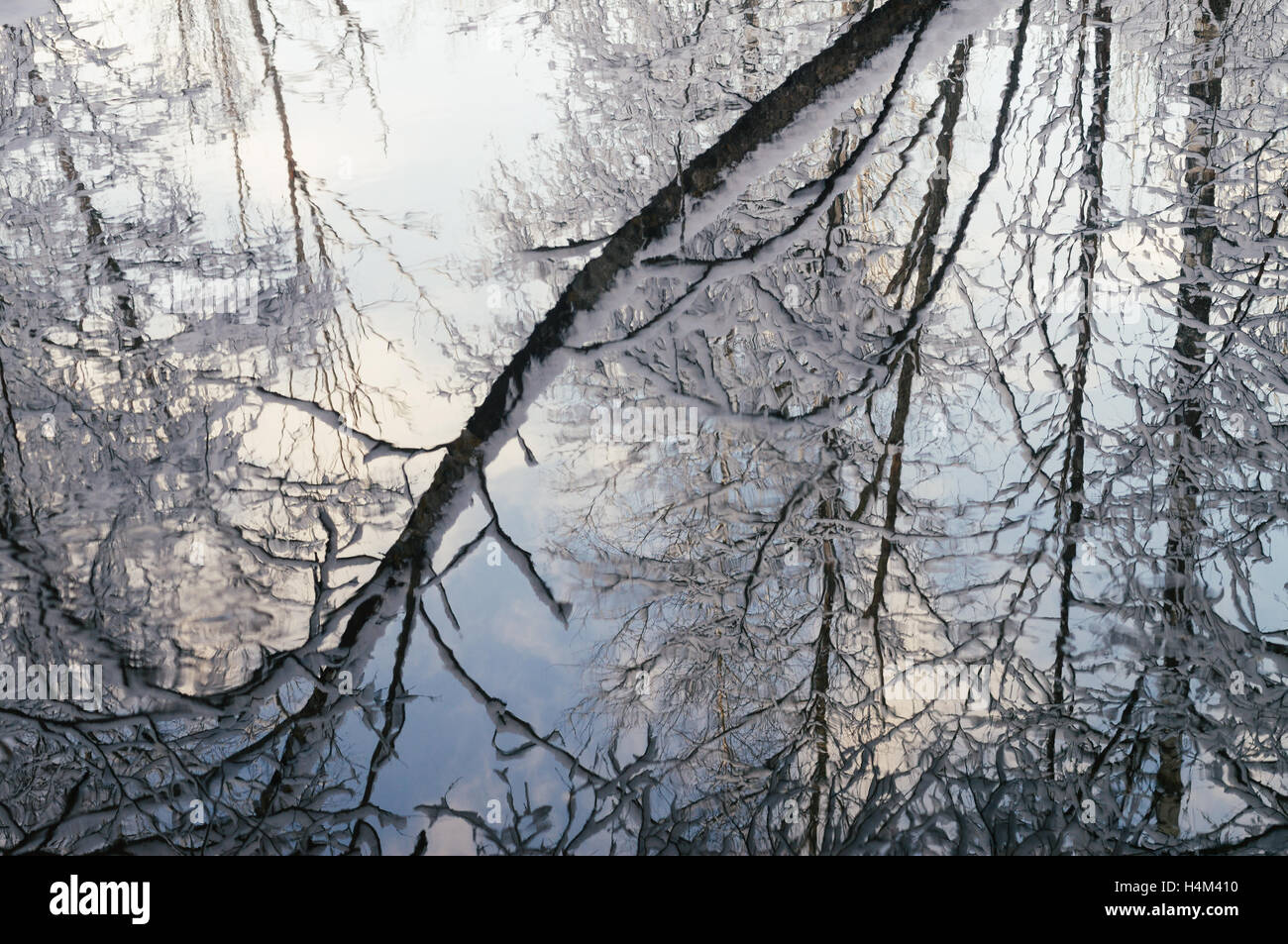 Abstract winter background of water surface with reflections from snowy ...