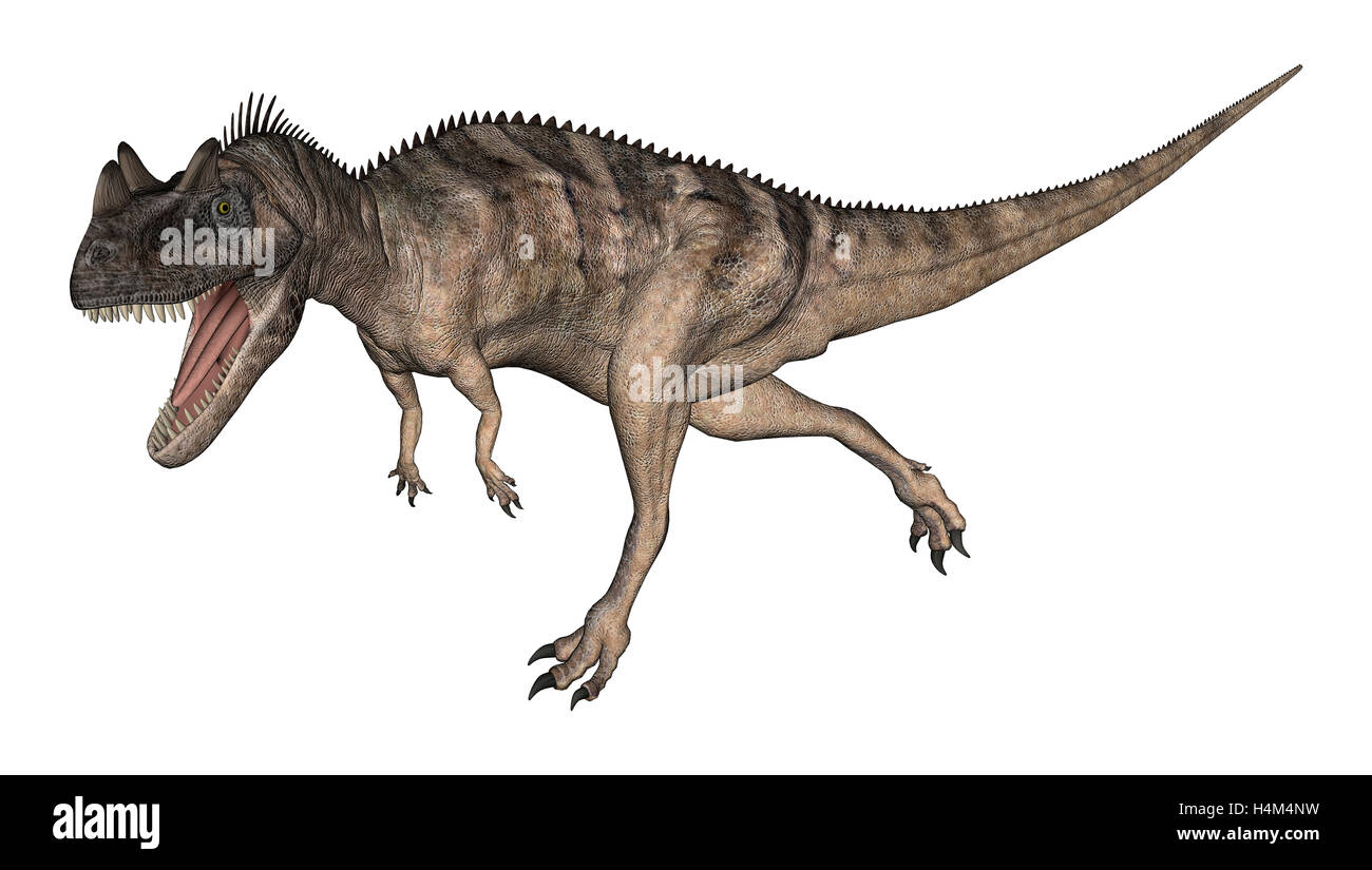 3D rendering of a dinosaur Ceratosaurus isolated on white background ...