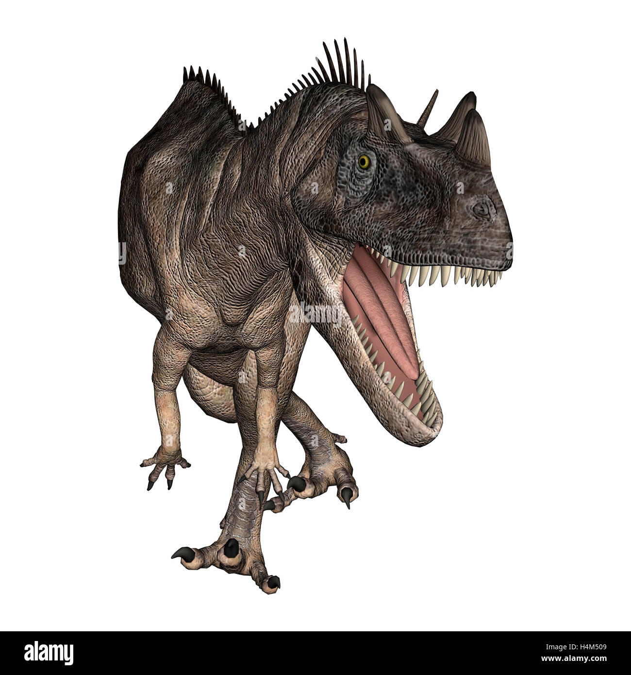 3D rendering of a dinosaur Ceratosaurus isolated on white background ...