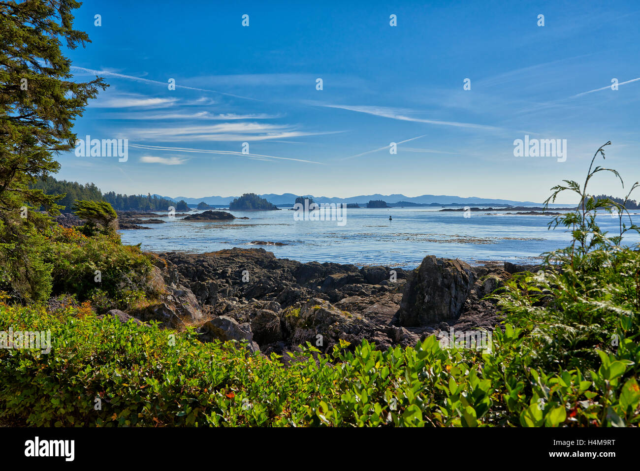 view at Wild Pacific Trail, Pacific Rim National Park Reserve, Ucluelet ...
