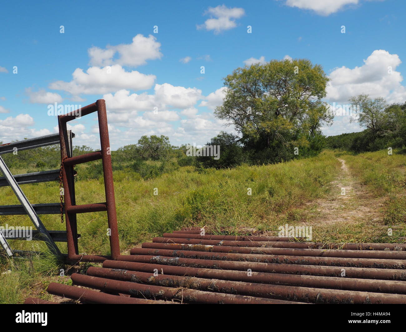 Cattle guard hi-res stock photography and images - Alamy