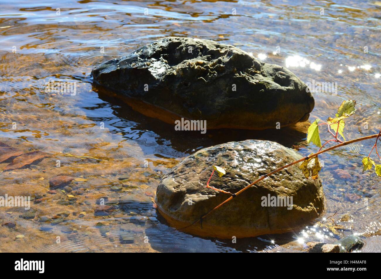 Leaf in the Sand Stock Photo - Alamy