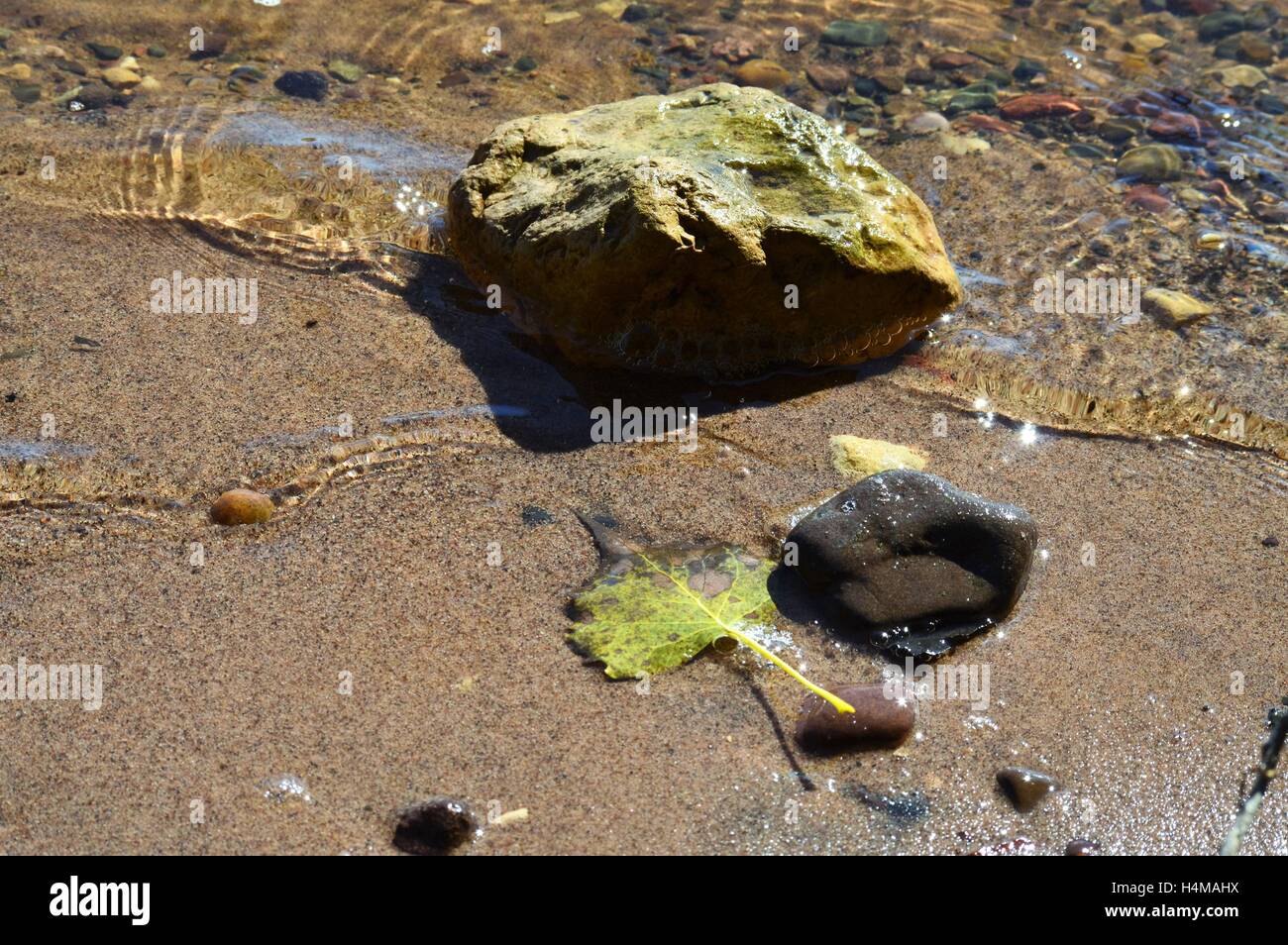 Leaf in the Sand Stock Photo - Alamy