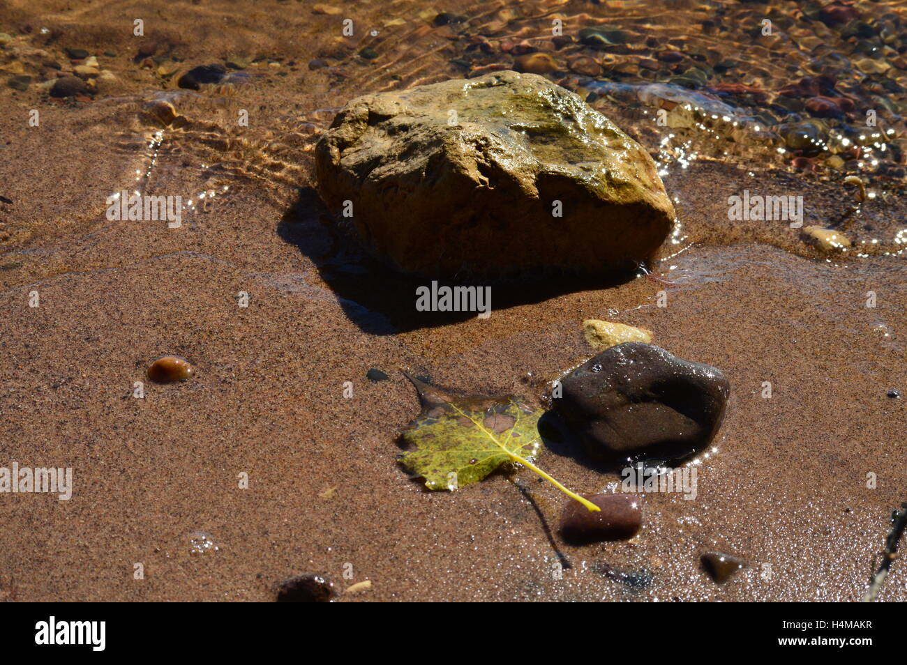 Leaf in the Sand Stock Photo - Alamy