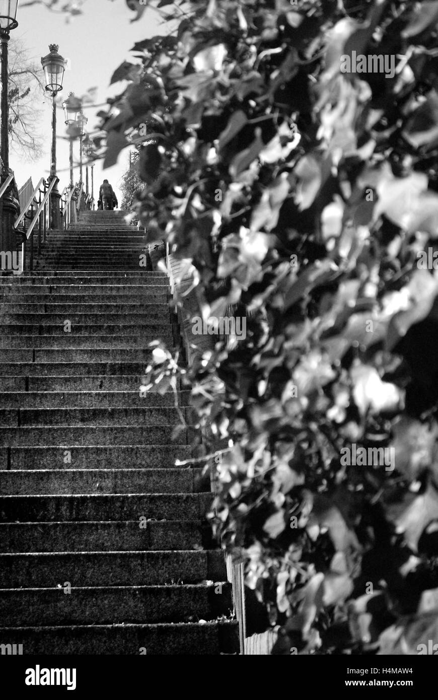 Montmartre Steps Paris Black and White Stock Photos & Images - Alamy