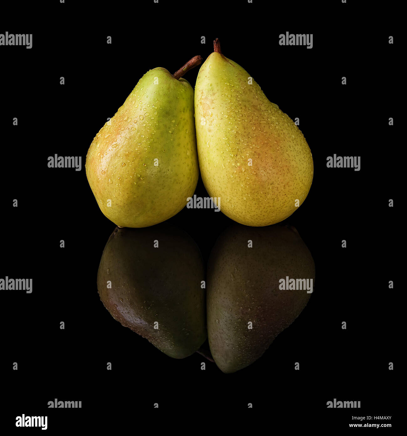 Two pears with water drops isolated on a black glossy background with ...