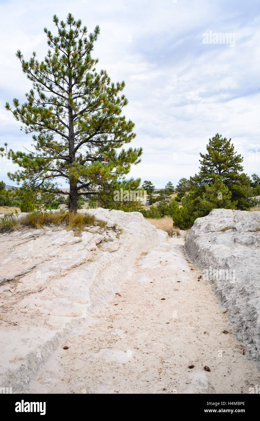 Oregon Trail Ruts State Historic Site Stock Photo - Alamy