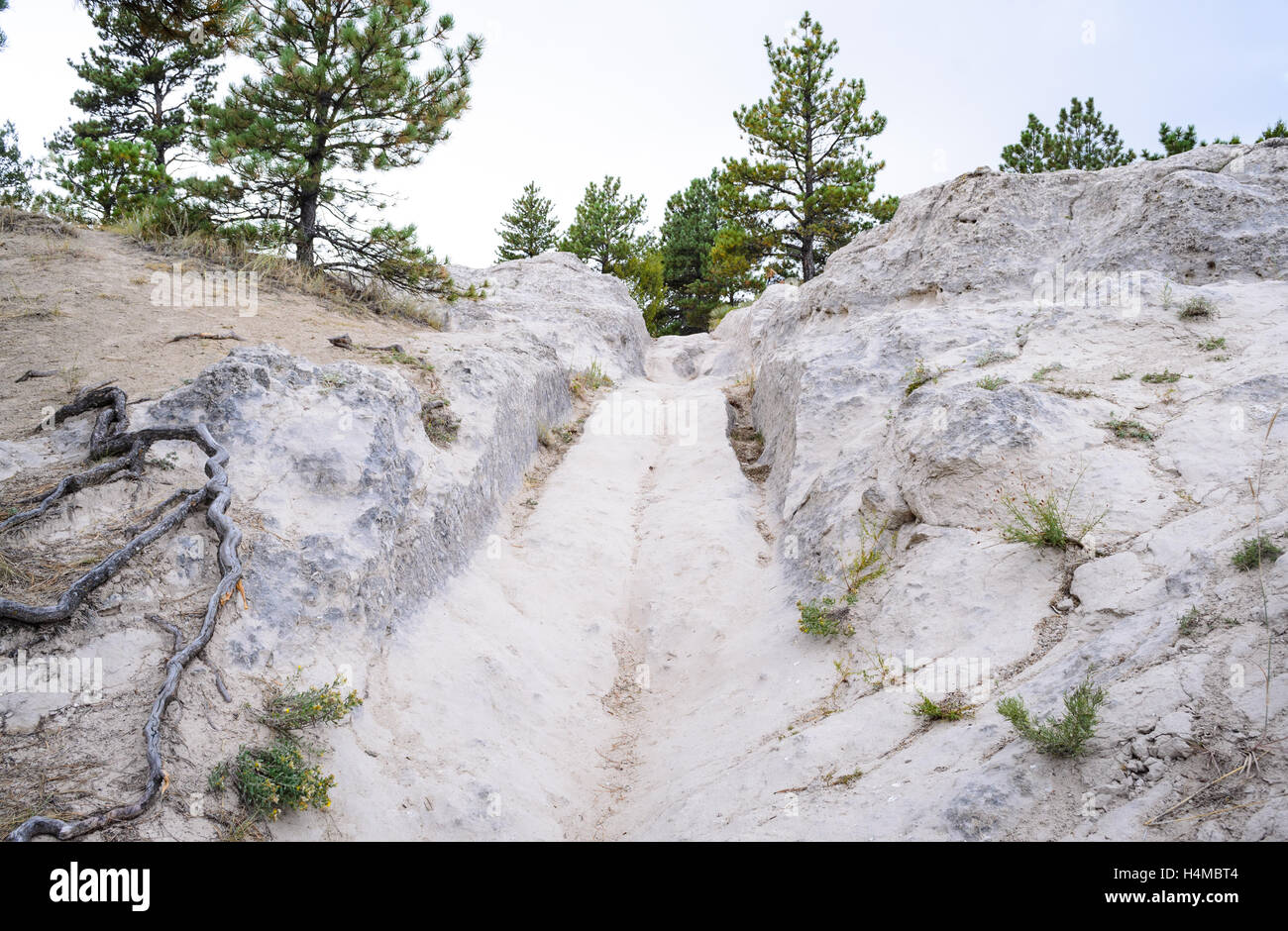 Oregon Trail Ruts State Historic Site Stock Photo - Alamy