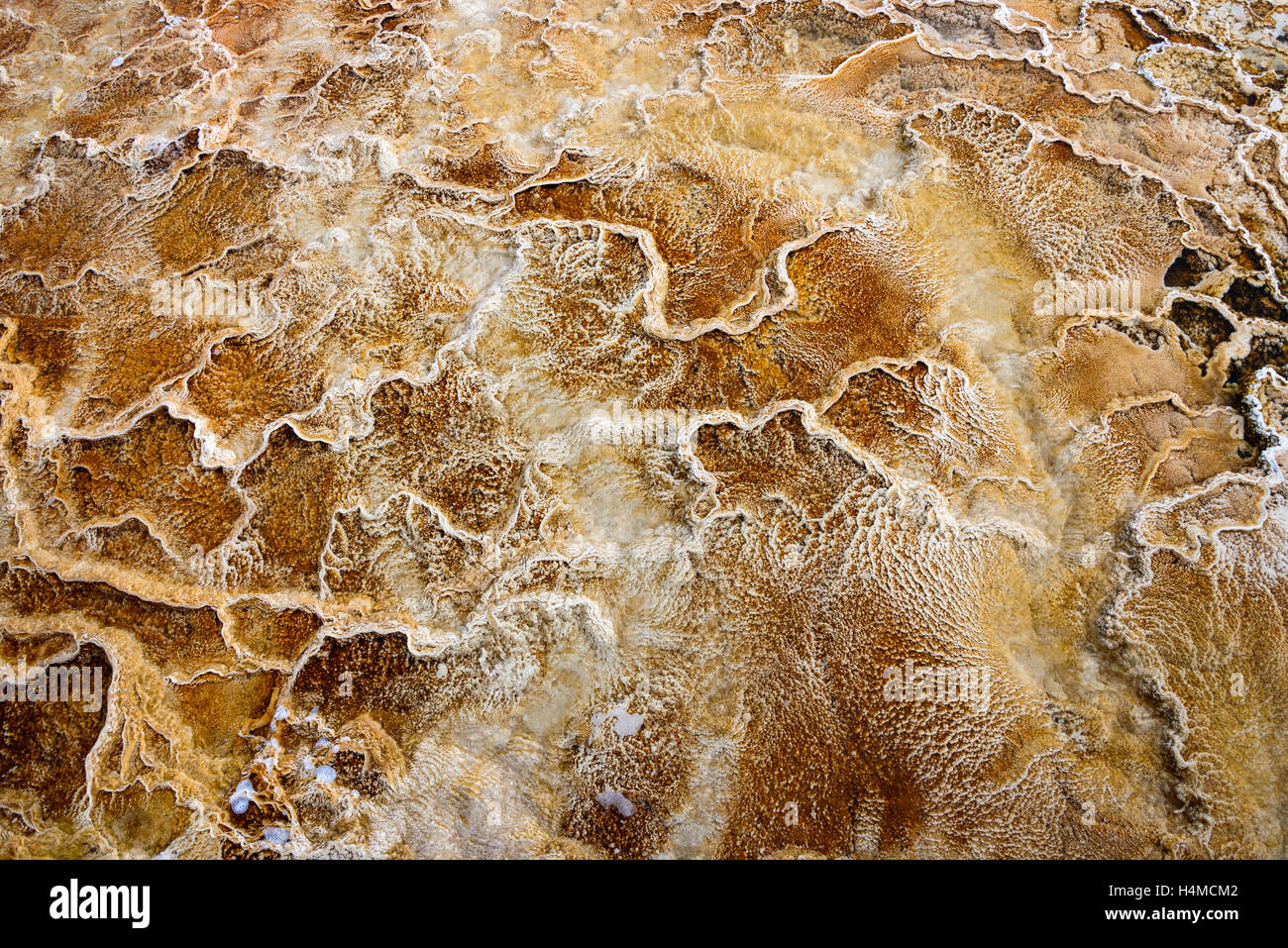 Yellowstone National Park Stock Photo - Alamy