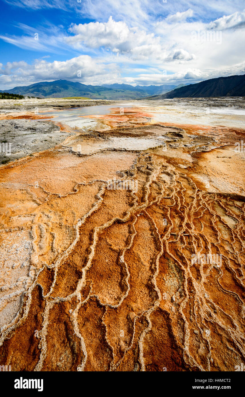 Yellowstone National Park Stock Photo - Alamy