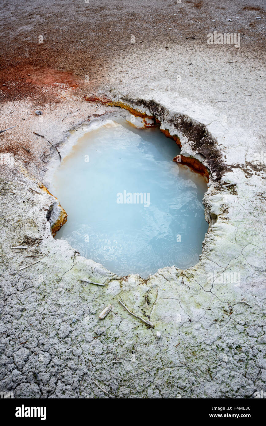 Yellowstone thermal feature hi-res stock photography and images - Alamy