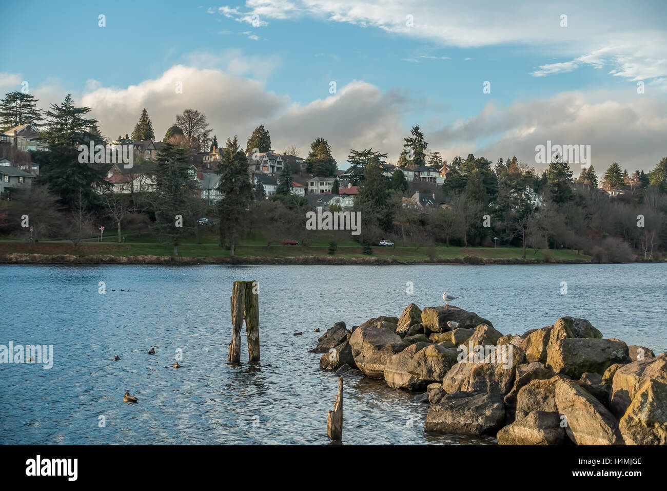 Urban landscape of Lake Washington near Seattle with a small jetty ...