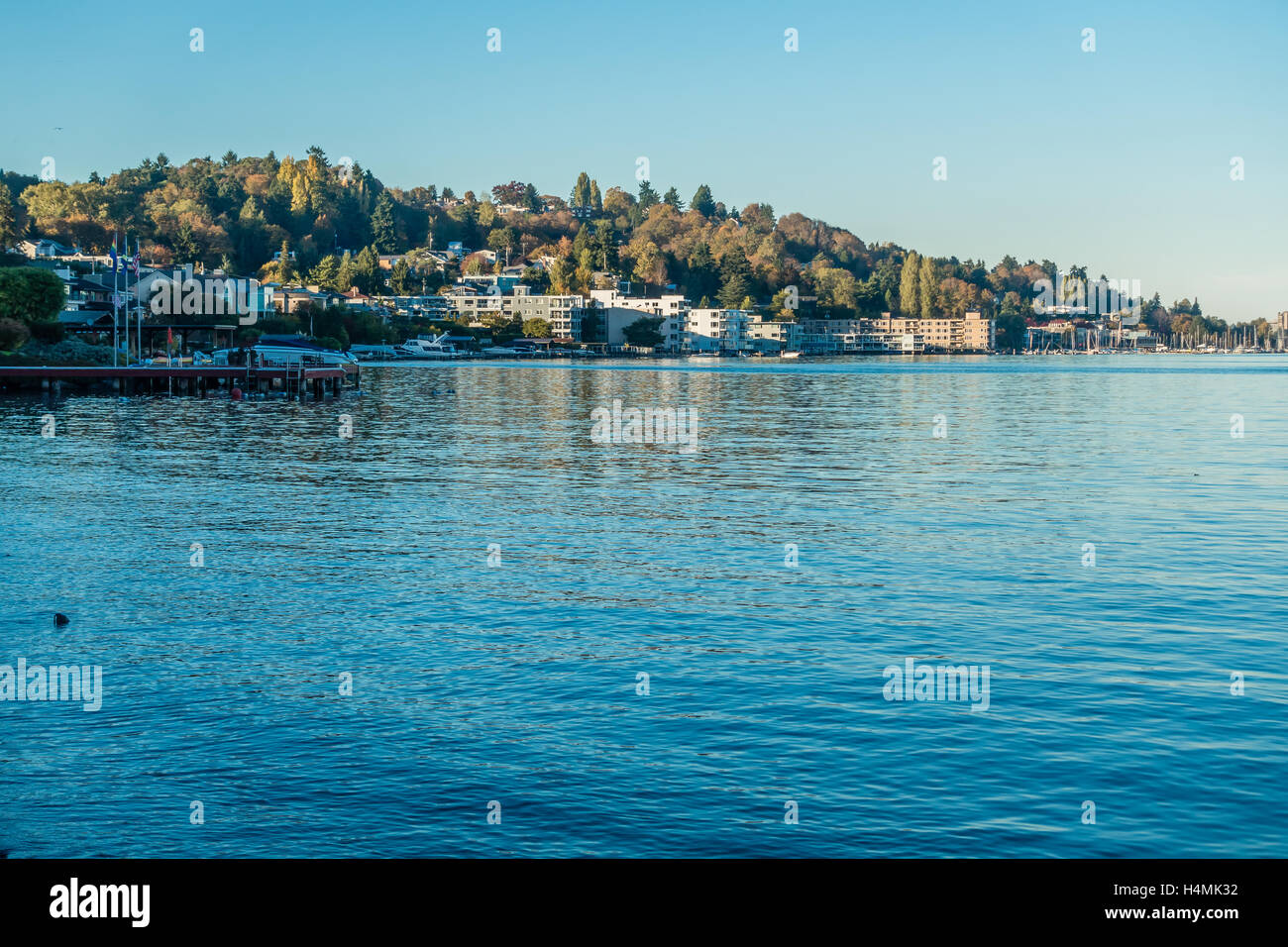 The shoreline of Lake Washington near Seattle Stock Photo - Alamy