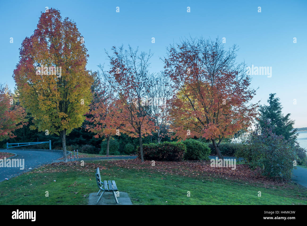 The shoreline of Lake Washington near Seattle. Fall leaves are turning ...