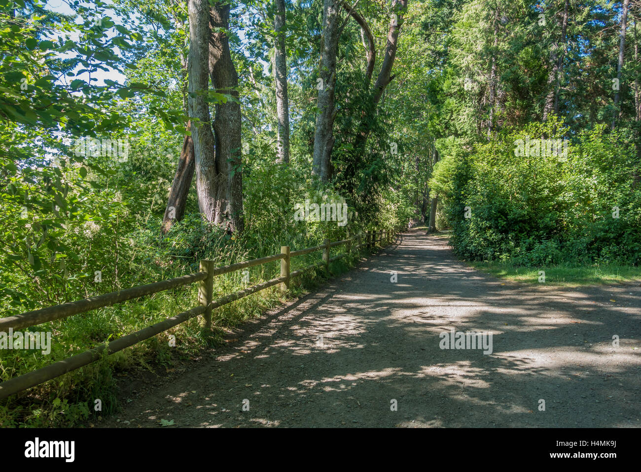 A path in Lincoln Park in West Seattle, Washington Stock Photo - Alamy