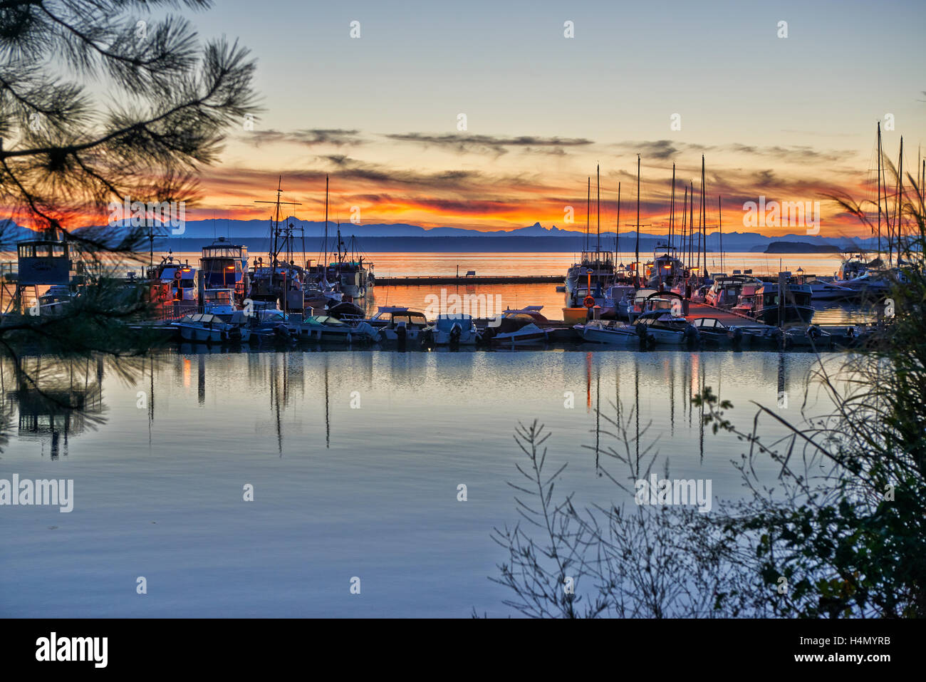 sunset at yacht harbor of Lund, Sunshine Coast, Vancouver Island behind ...