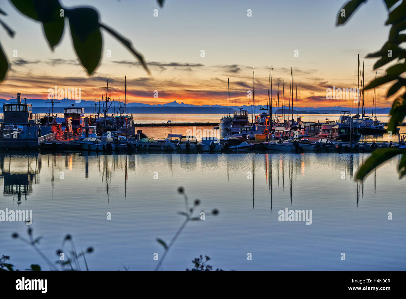 sunset at yacht harbor of Lund, Sunshine Coast, Vancouver Island behind ...