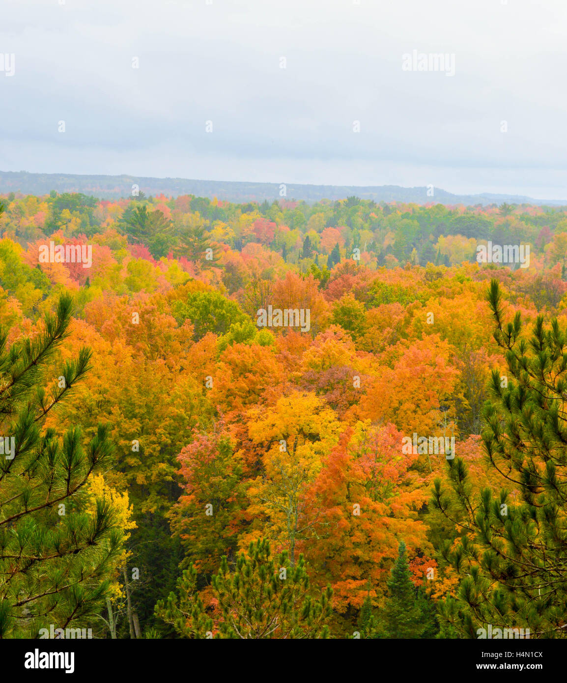 The High banks of the Ausable River in Autumn Stock Photo - Alamy