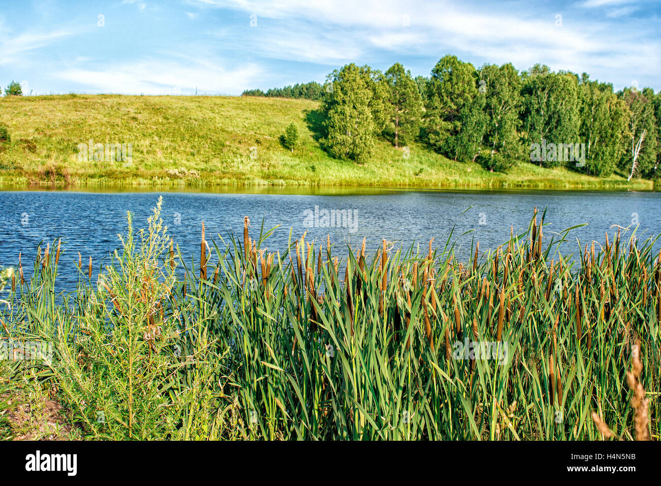 Beautiful river bank in sunny hi-res stock photography and images - Alamy