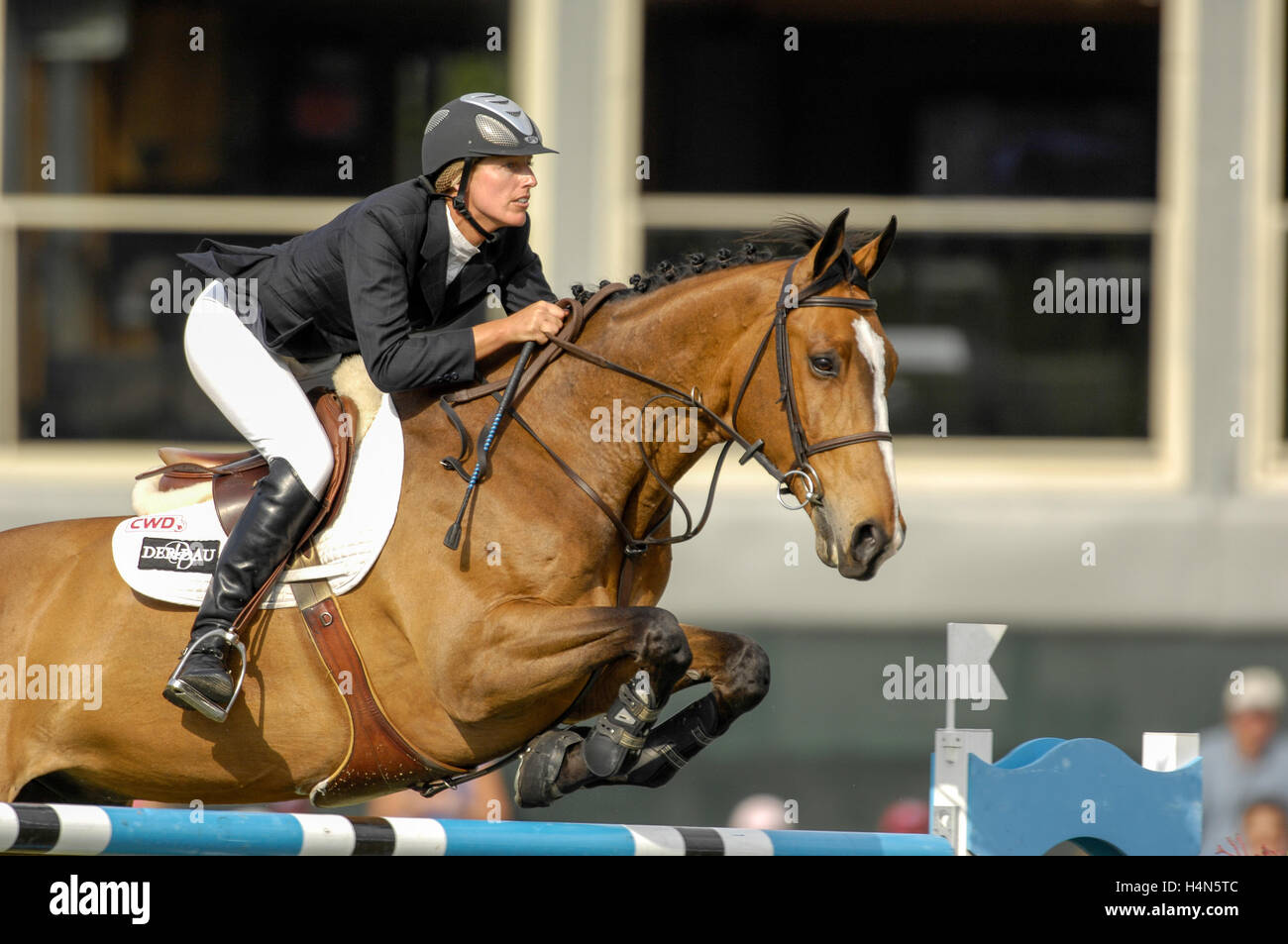 Schuyler Riley (USA) riding Ilian, CSI-W Wellington Stock Photo - Alamy