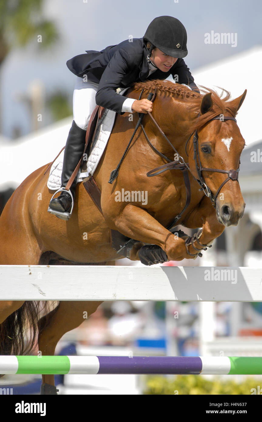 Sarah Segal (USA) riding True Love, Winter Equestrian Festival ...