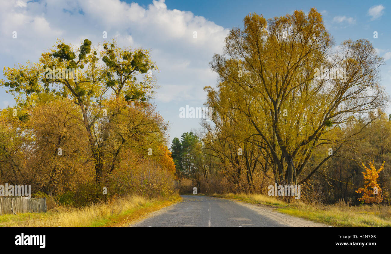 Autumnal landscape with rural road in Sumskaya oblast, Ukraine Stock ...